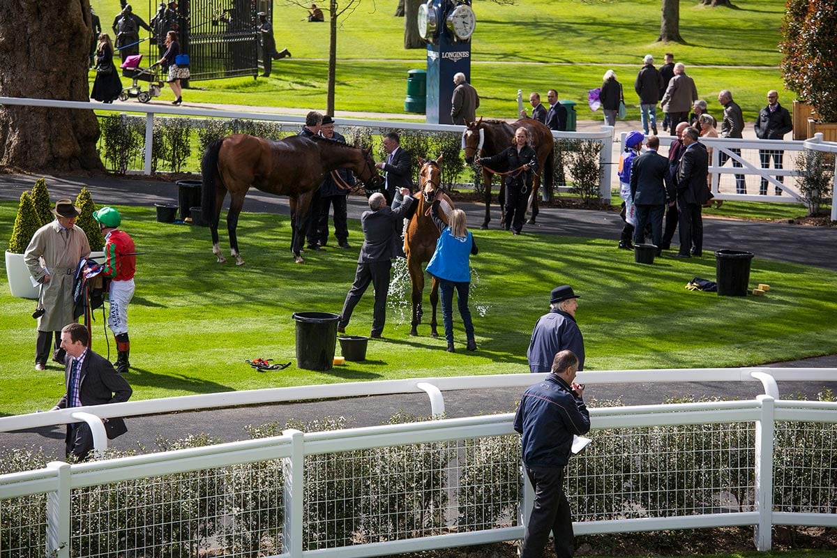 PVC Crowd Barriers | Duralock