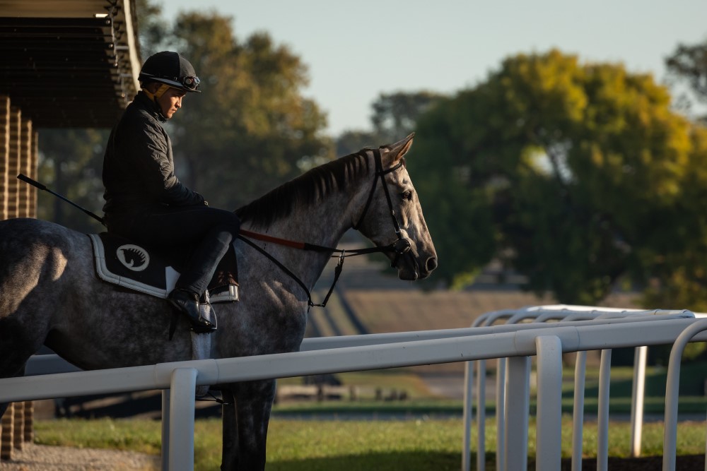 Superior Performance Fencing | Duralock