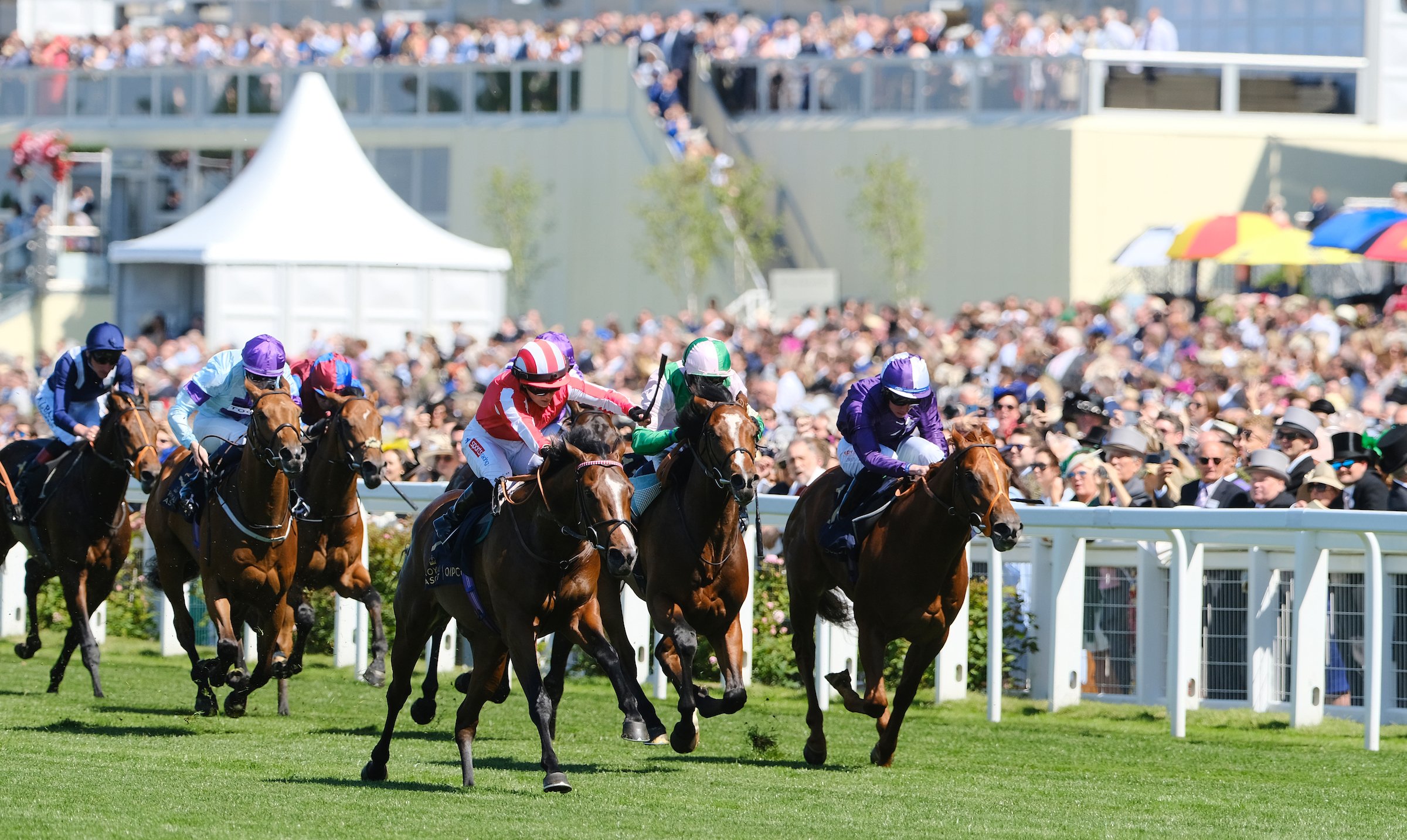 Case Study: Ascot Racecourse. Duralock Fencing Solutions | Duralock
