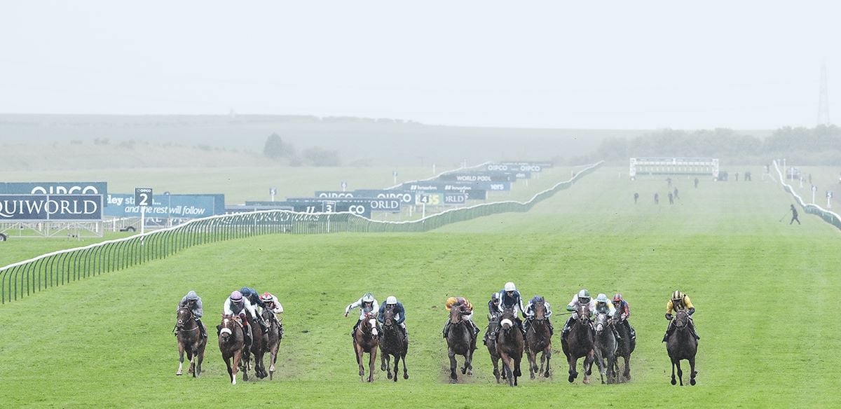 Case Study: Newmarket Racecourse Gilling Rail | Duralock