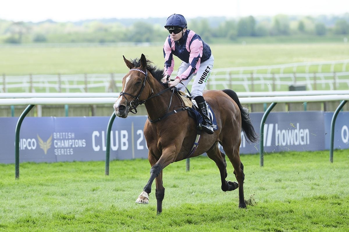 Case Study: Newmarket Racecourse Gilling Rail | Duralock