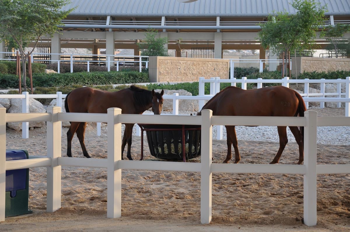 Paddock Fencing | Duralock