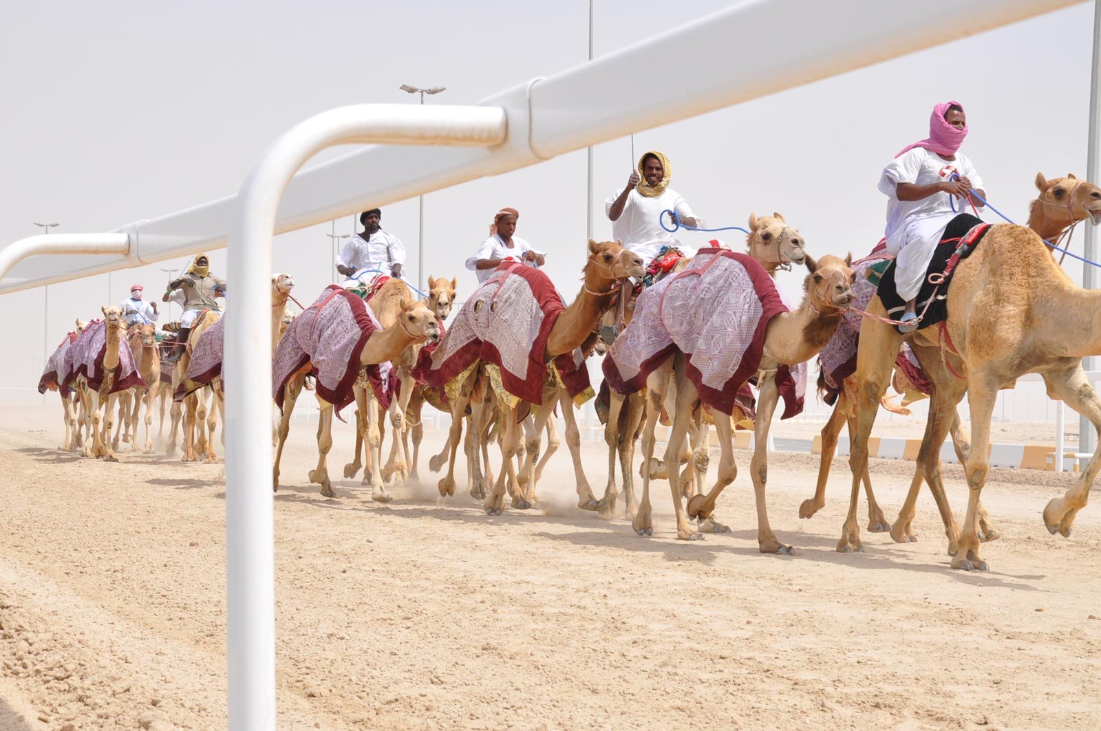 Case Study: Al Shahaniya Camel Track with Camel Rail | Duralock