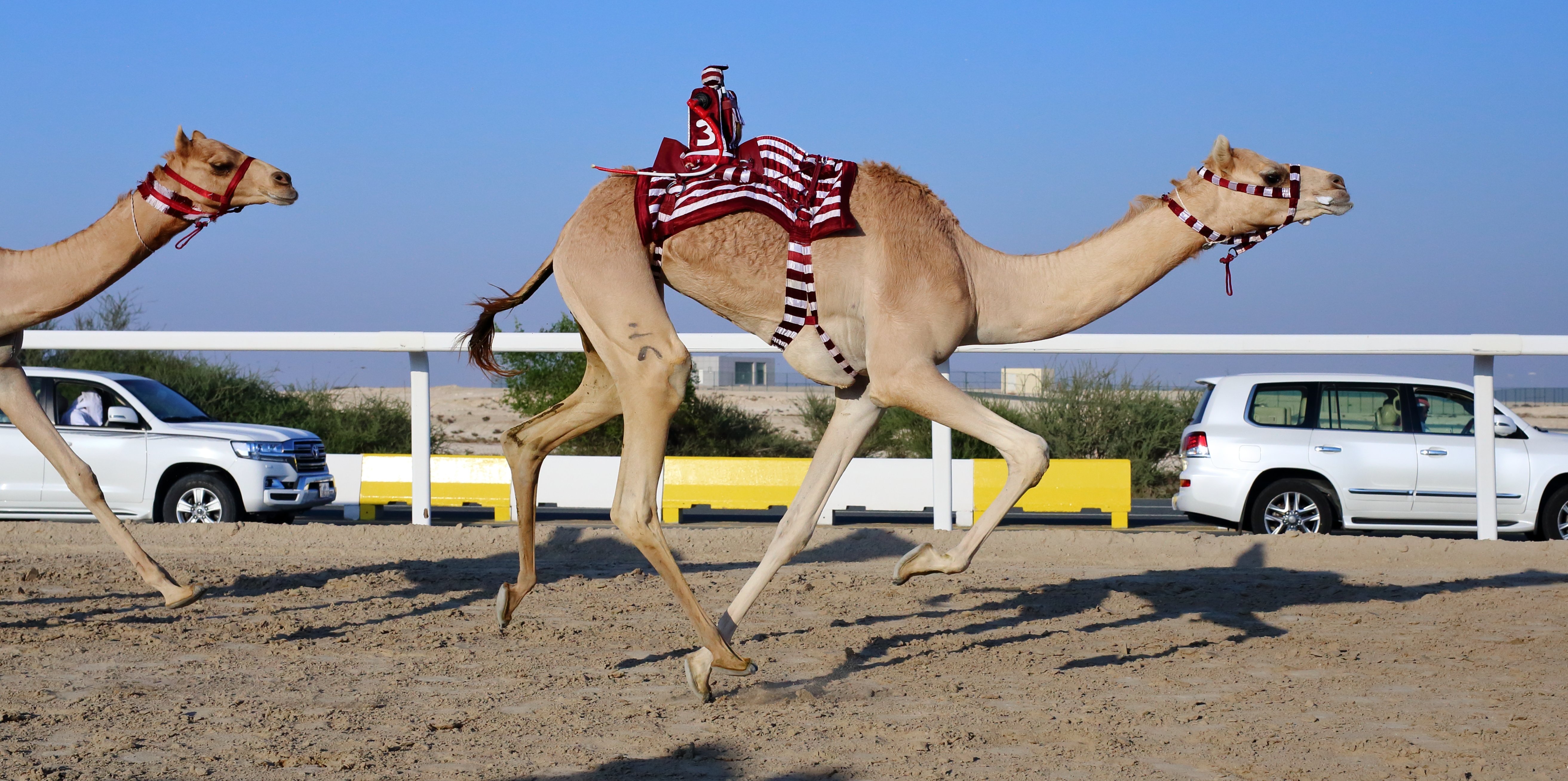 Duralock Camel Rails | Duralock