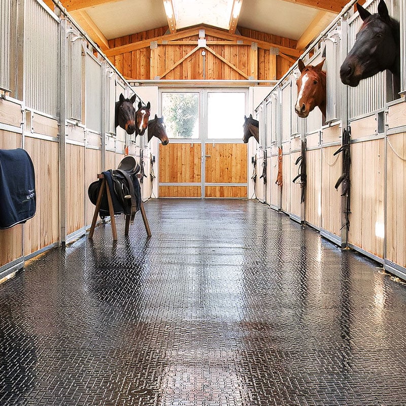 Equestrian and Sport Solutions | Duralock
